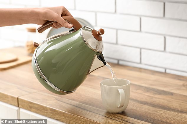 The Kettle's Fate: Gen Z's Vision for Future Kitchens - Modern Market